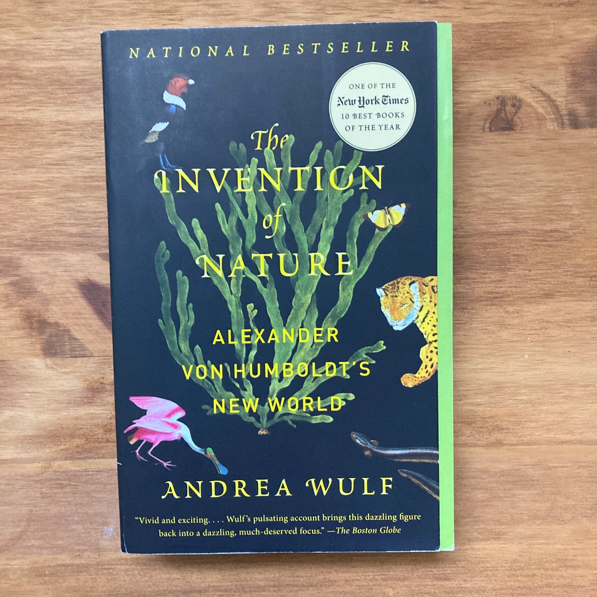The Invention of Nature