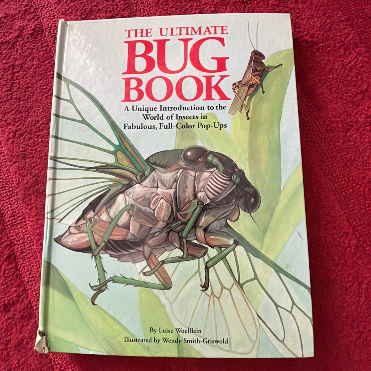 The Ultimate Bug Book by Luise Woelflein