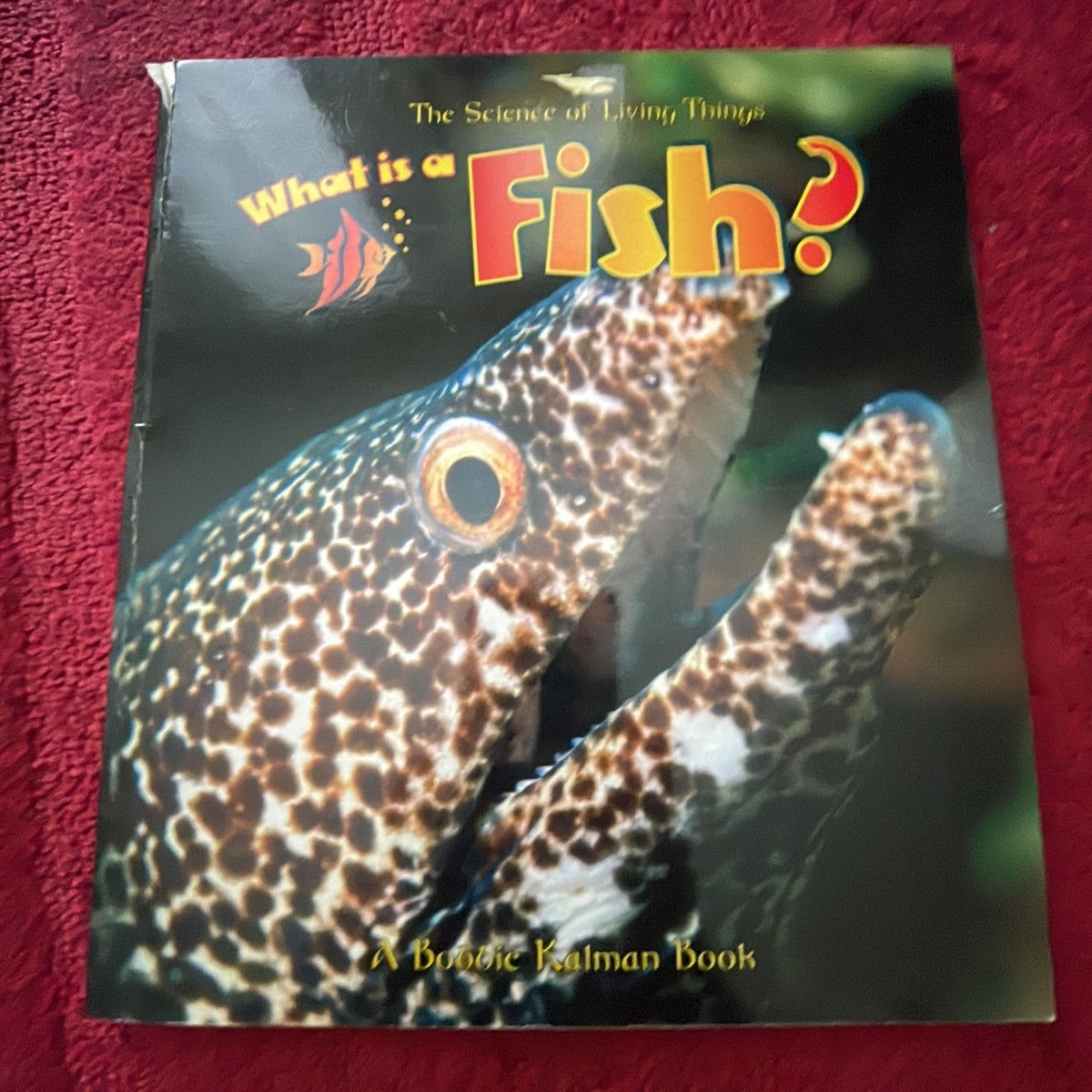 What Is a Fish? by Bobbie Kalman