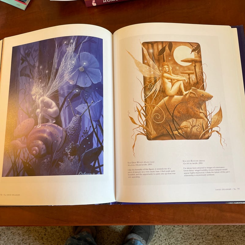 The Art of Faery by David Riche, Hardcover | Pangobooks