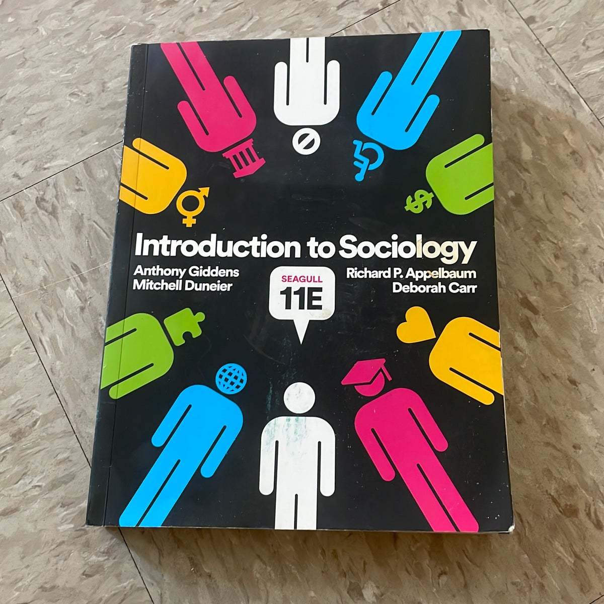 Introduction to Sociology by Deborah Carr, Anthony Giddens, Mitchell Duneier, Richard P. Appelbaum