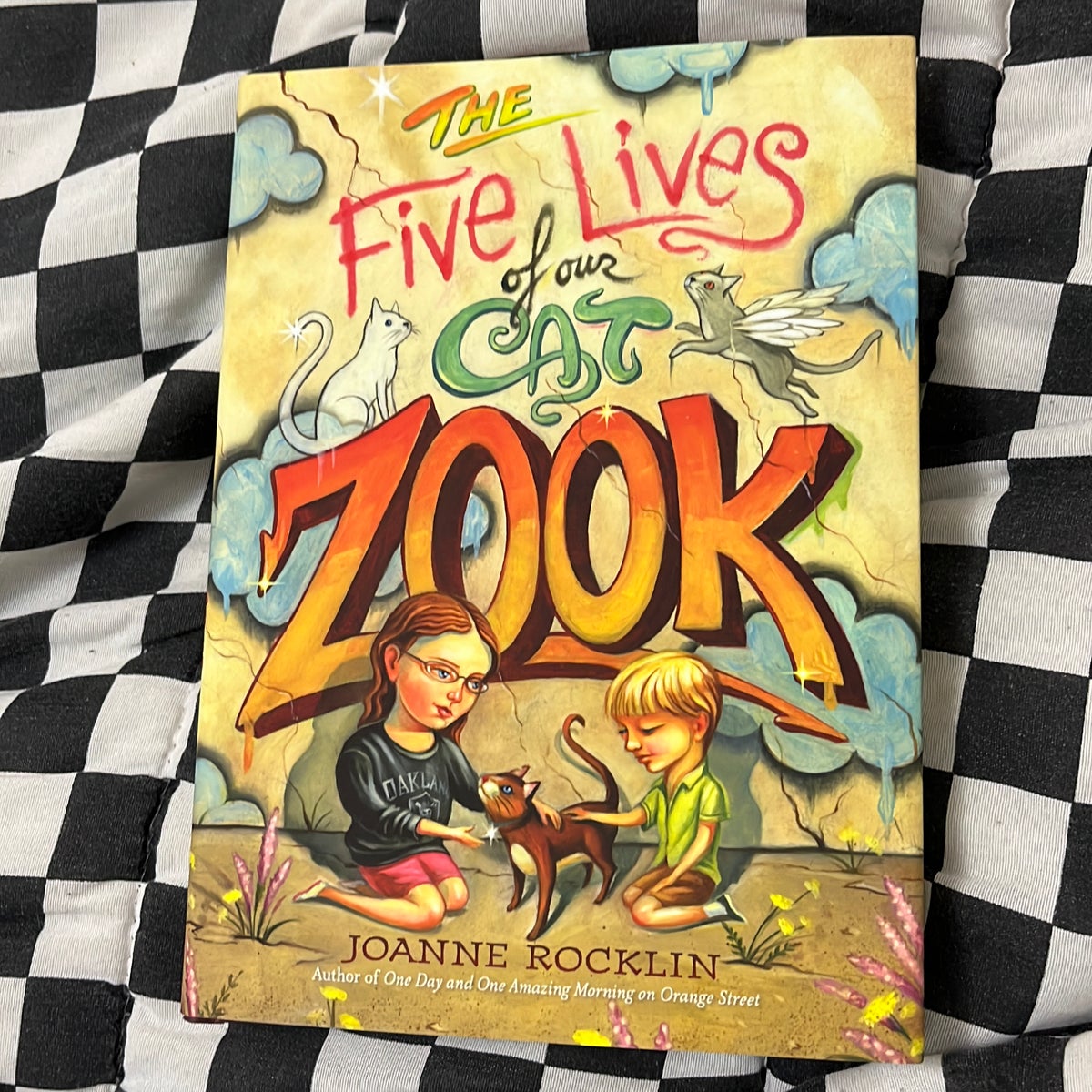 The Five Lives of Our Cat Zook