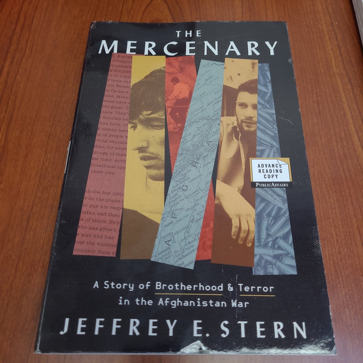The Mercenary by Jeffrey E. Stern