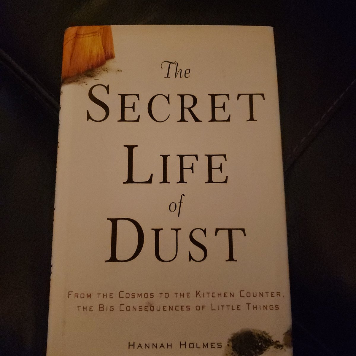 The Secret Life of Dust by Hannah Holmes, Paperback | Pangobooks