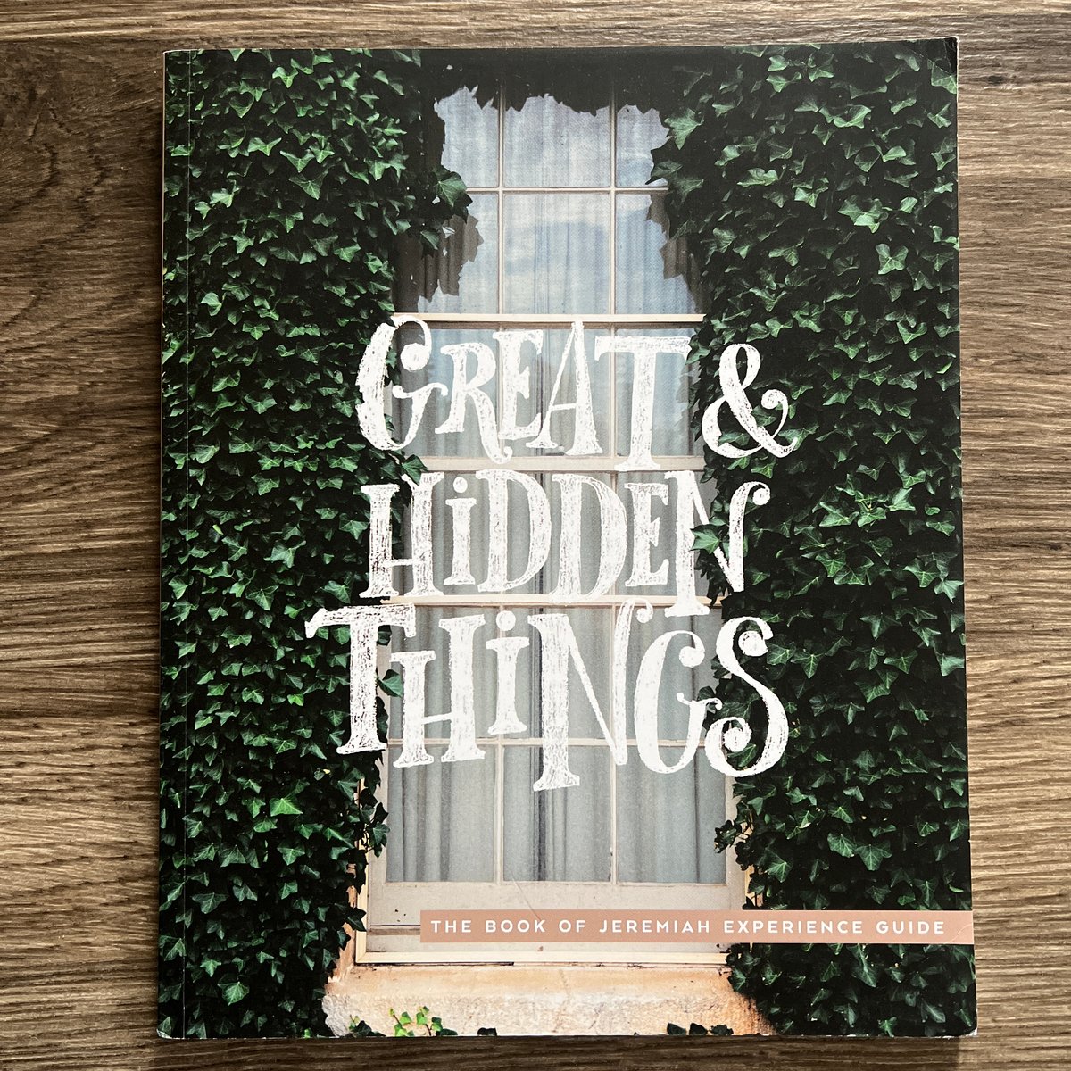 Great and Hidden Things Experience Guide by Proverbs 31 Ministries