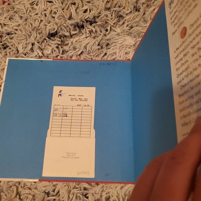 Annie, Bea and Chi Chi Dolores by Donna Maurer, Hardcover | Pangobooks