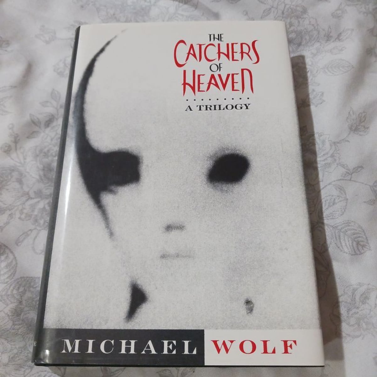 The Catchers of Heaven by Michael Wolf