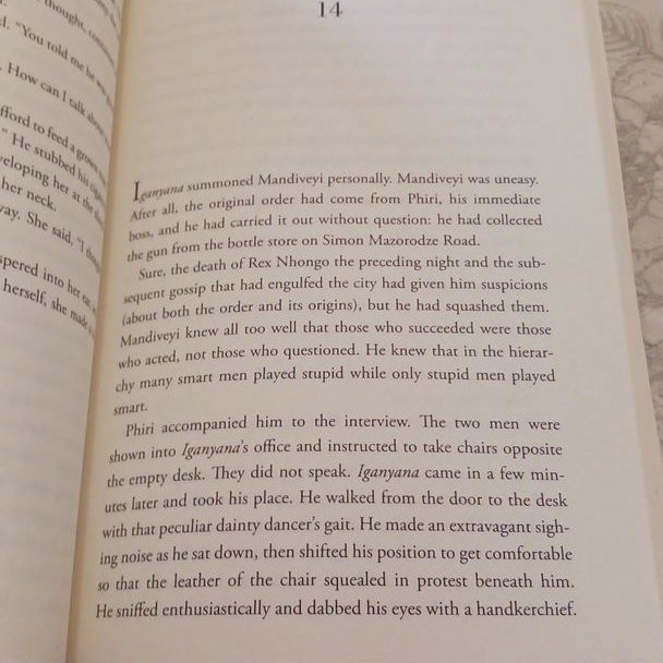 The Death of Rex Nhongo by C. B. George