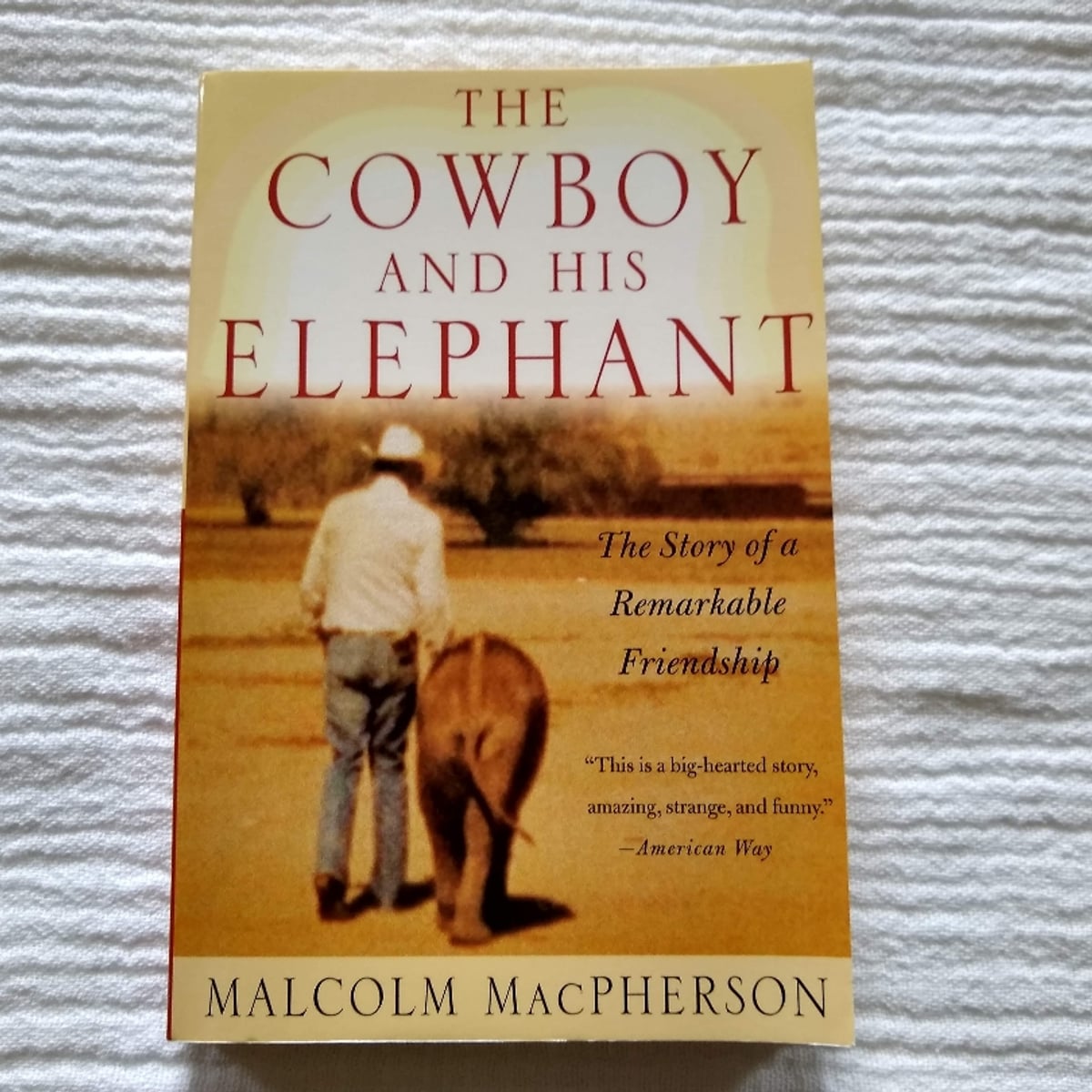 The Cowboy and His Elephant by Malcolm Macpherson