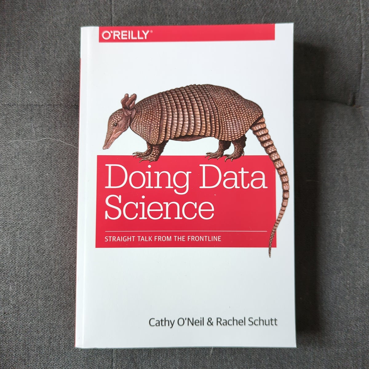 Doing Data Science by Cathy O'Neil, Rachel Schutt