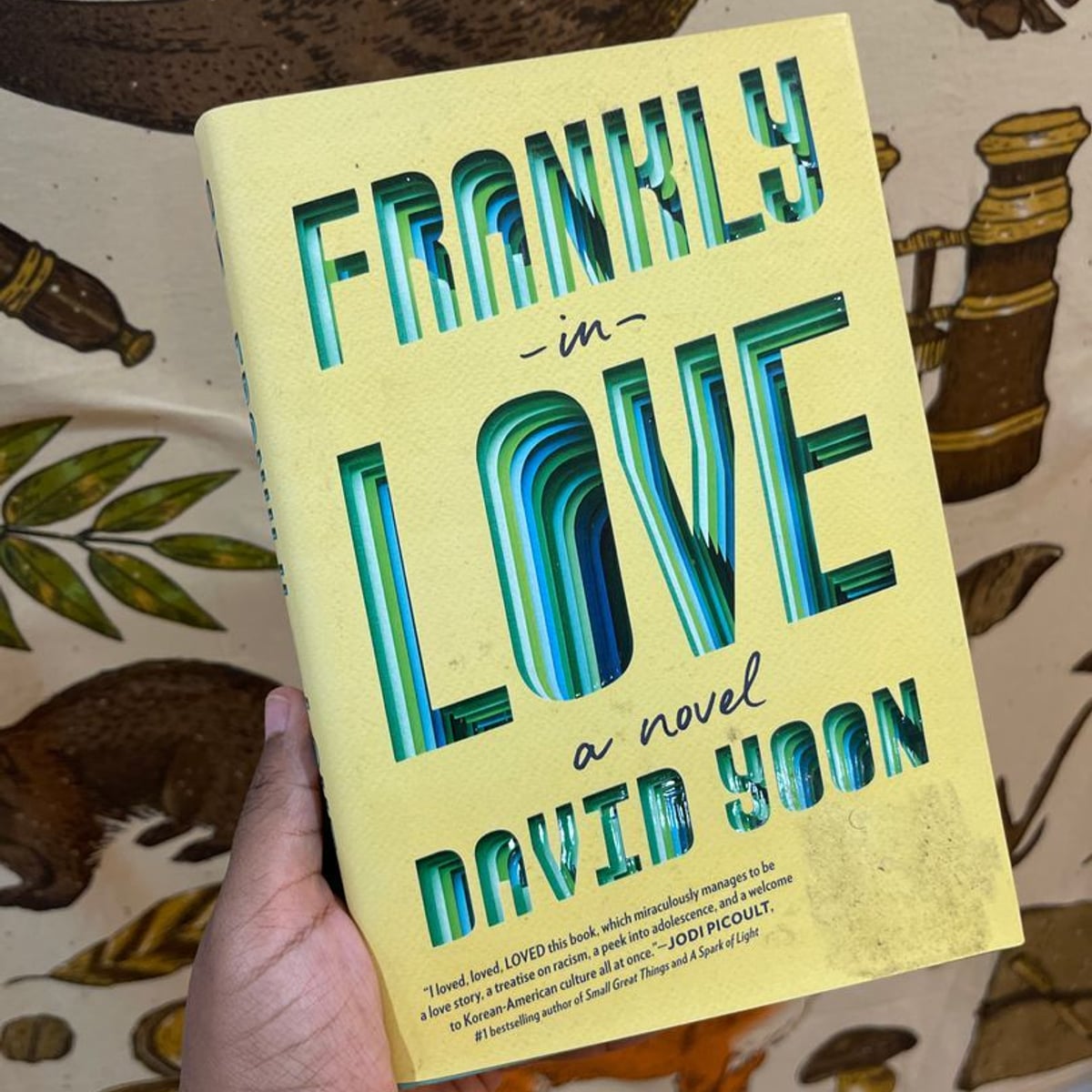 Frankly in Love by David Yoon, Hardcover | Pangobooks