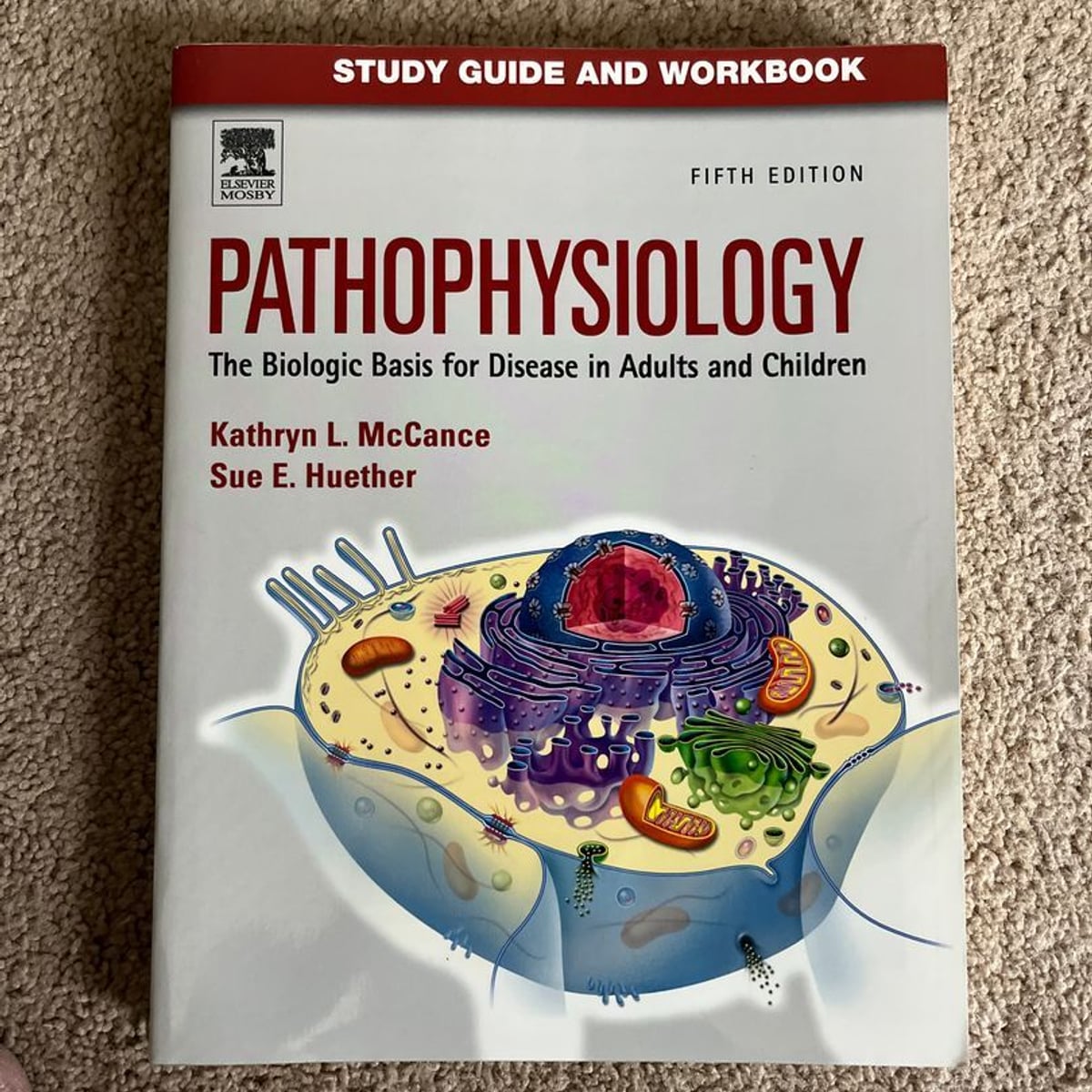 Pathophysiology by Kathryn L. McCance, Paperback | Pangobooks