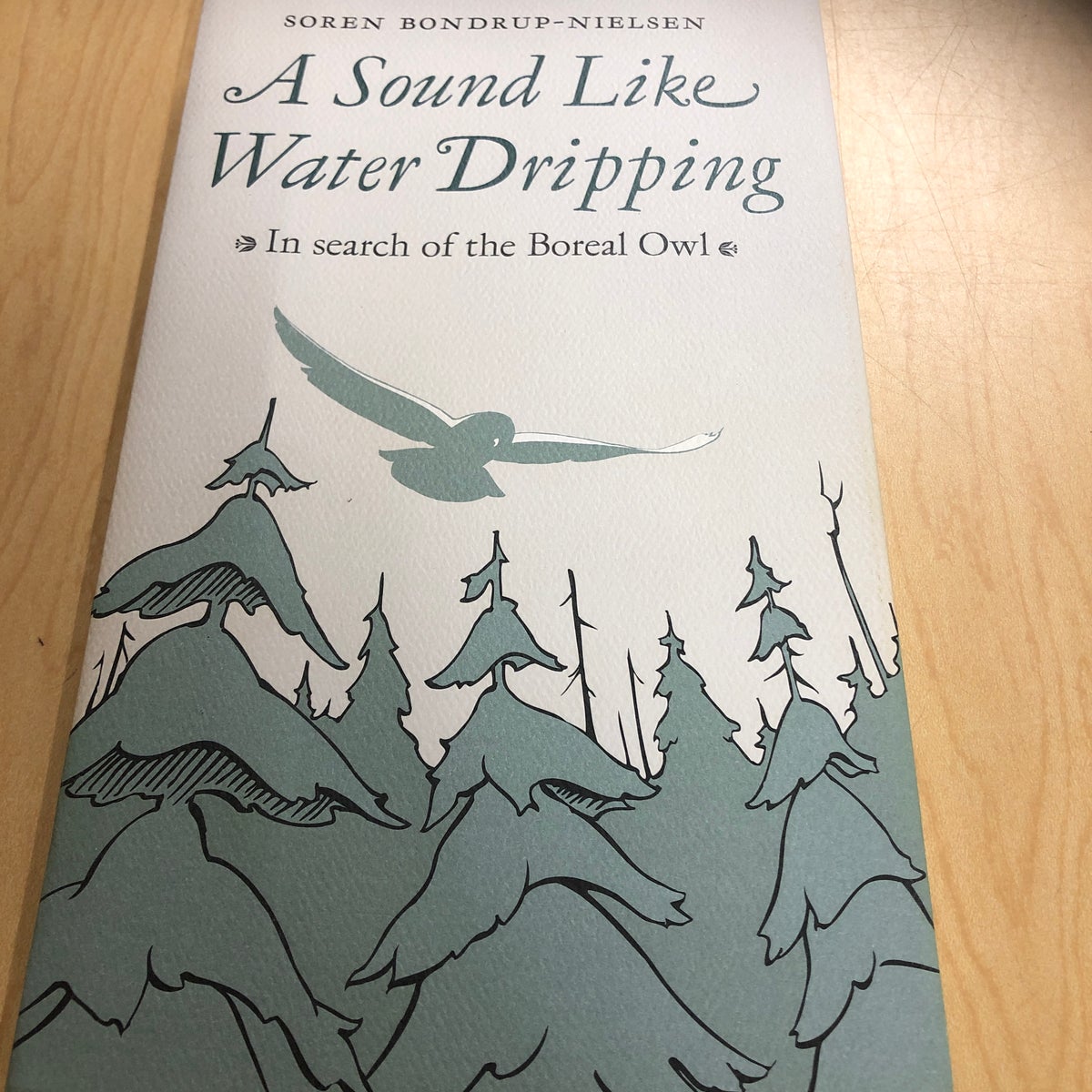 A Sound Like Water Dripping by Soren Bondrup-Nielsen