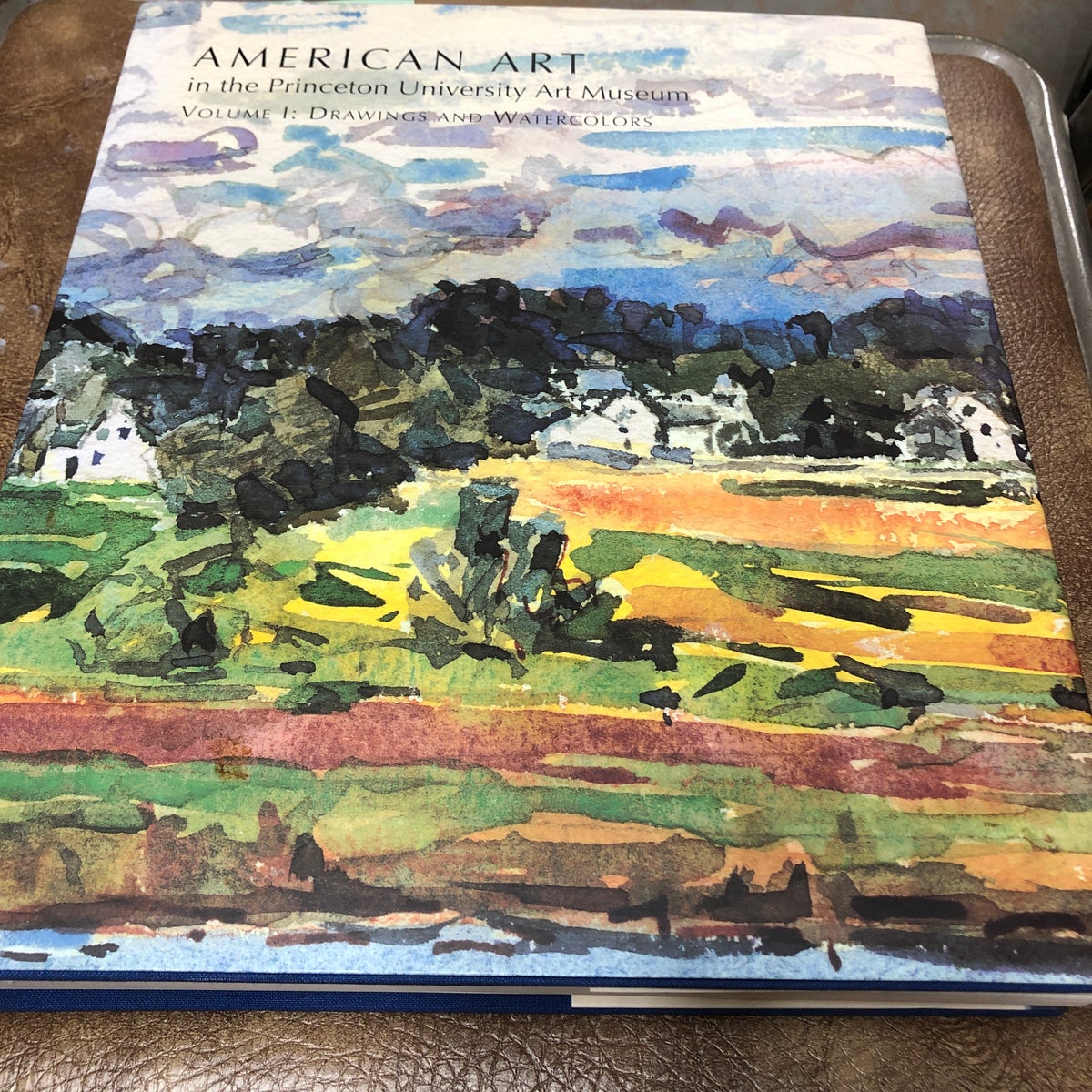 American Art in the Princeton University Art Museum by Laura M. Giles ...