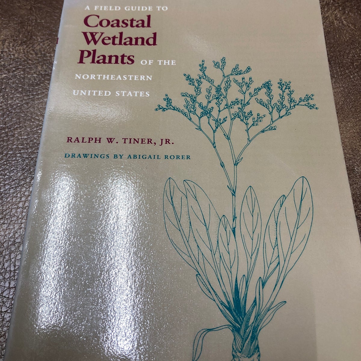 A Field Guide to Coastal Wetland Plants of the North-Eastern United ...