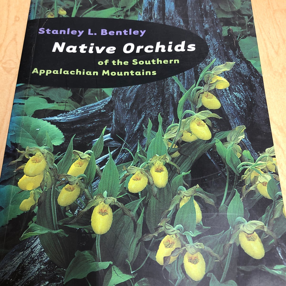 Native Orchids of the Southern Appalachian Mountains by Stanley L. Bentley