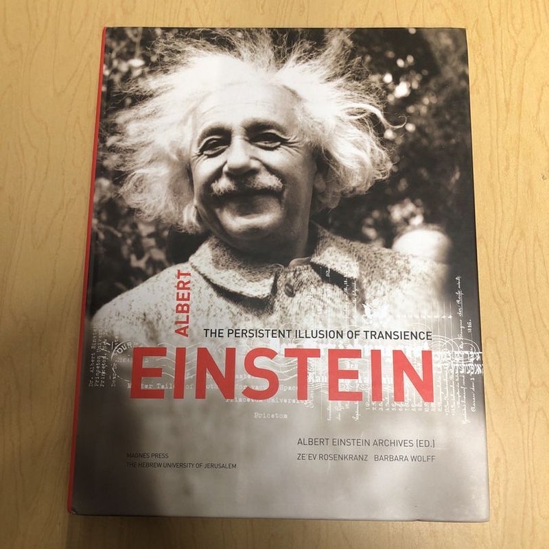 Albert Einstein by Ze'ev Rosenkranz