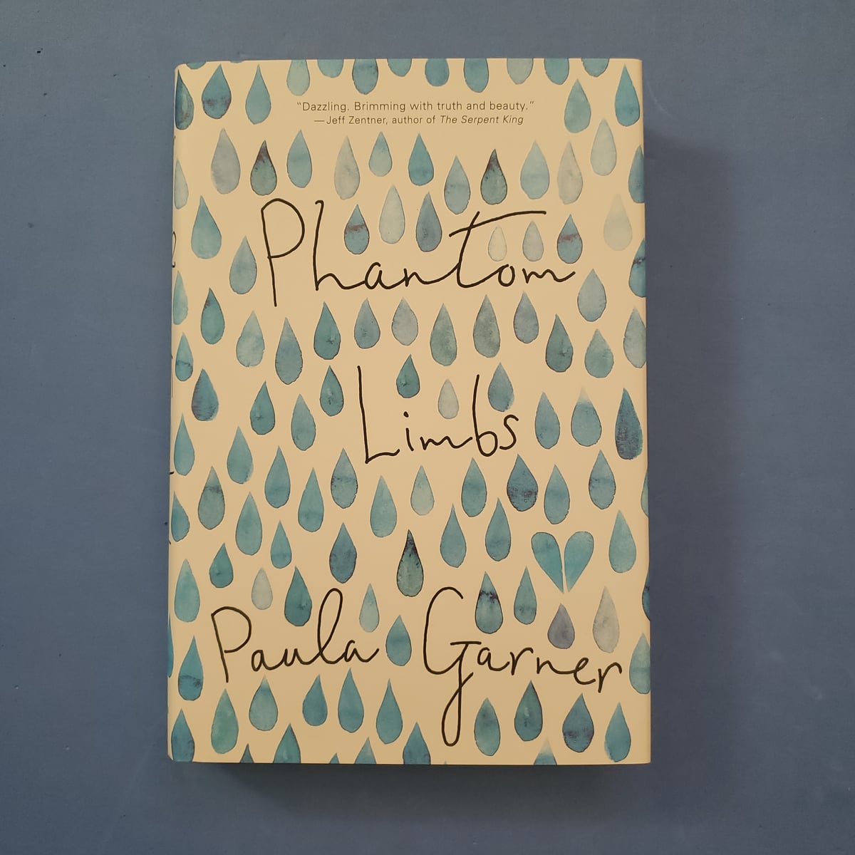 Phantom Limbs by Paula Garner