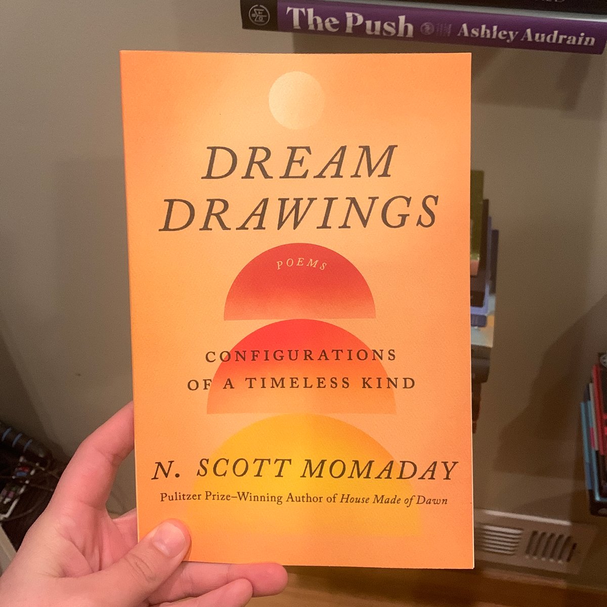 Dream Drawings by N. Scott Momaday