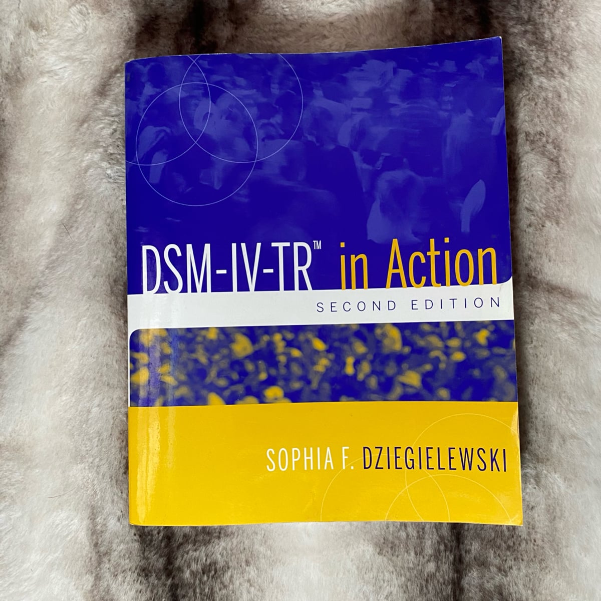DSM-IV-TR in Action by Sophia F. Dziegielewski
