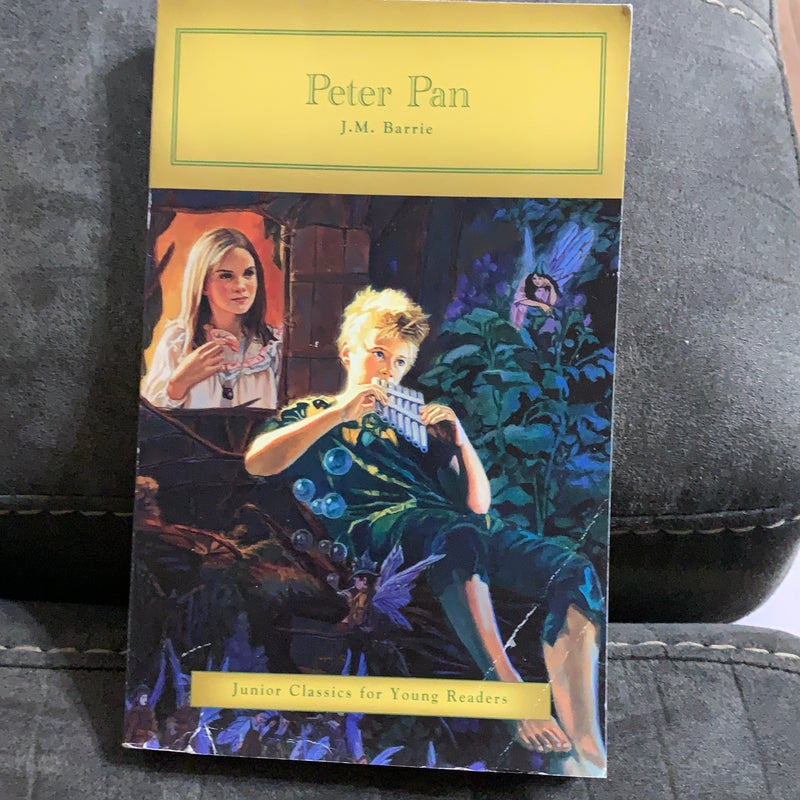 Peter Pan by Wendi Lowery, Paperback | Pangobooks