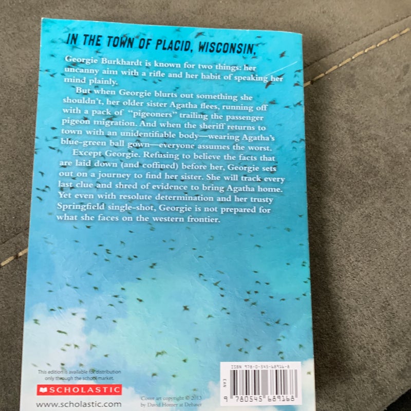 One Came Home by Amy Timberlake, Paperback | Pangobooks