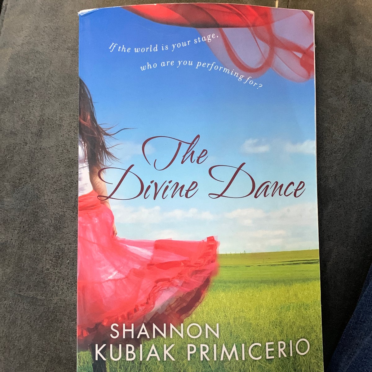 The Divine Dance by Shannon Kubiak Primicerio, Robin Gunn