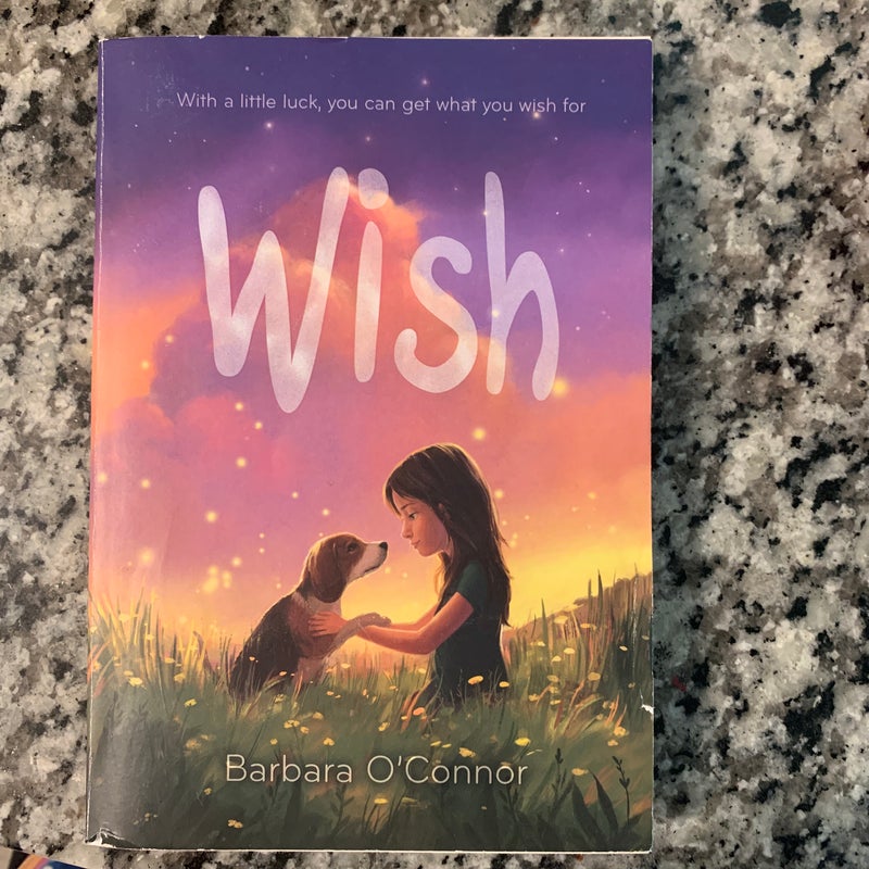 Wish by Barbara O’Connor, Paperback | Pangobooks