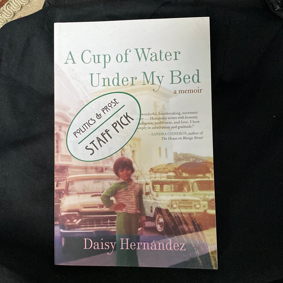 A Cup of Water under My Bed by Daisy Hernandez