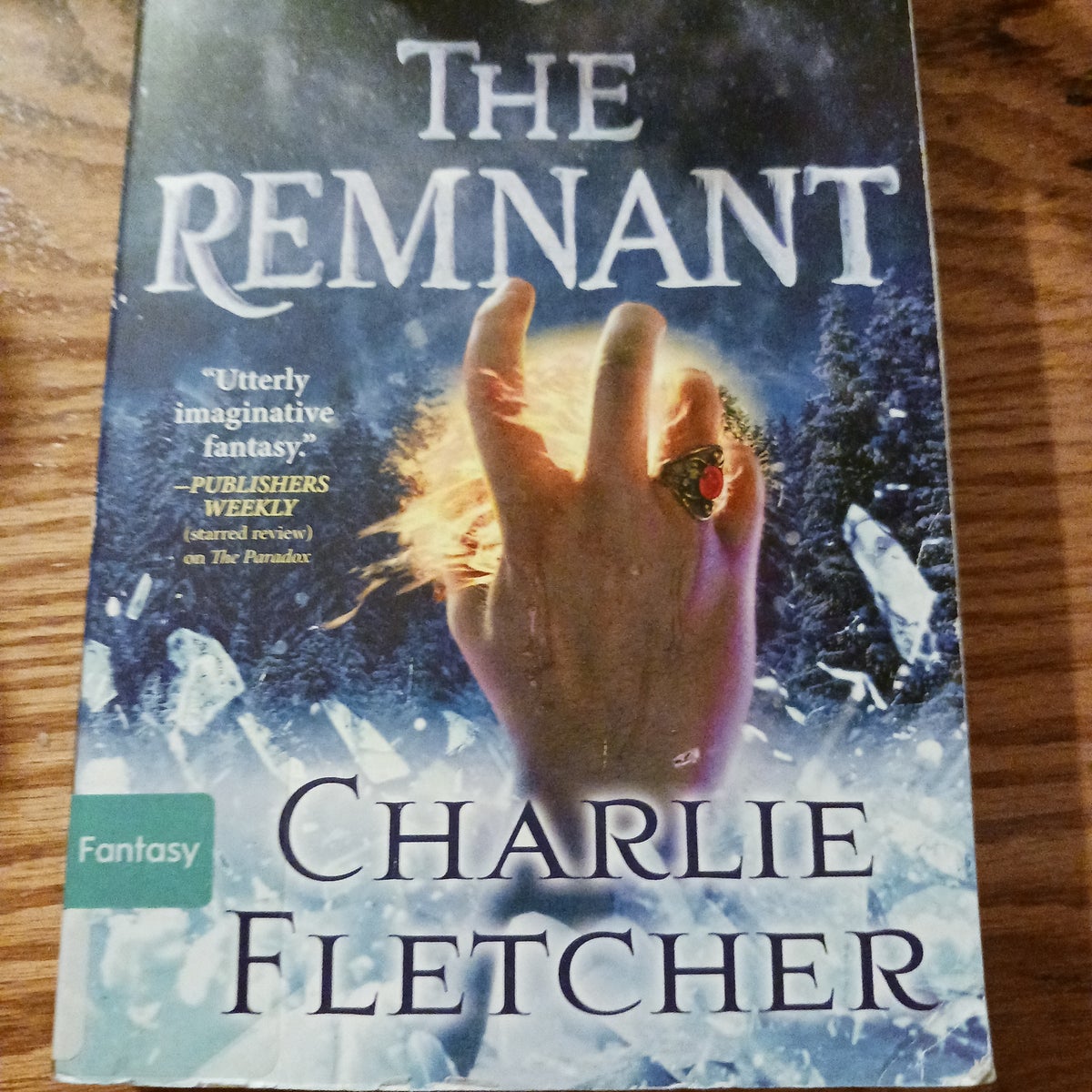 The Remnant by Charlie Fletcher, Paperback | Pangobooks