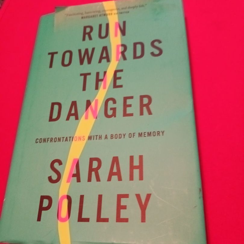 Run Towards the Danger by Sarah Polley