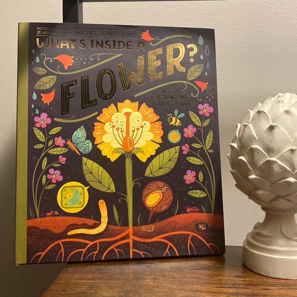 What's Inside a Flower? by Rachel Ignotofsky