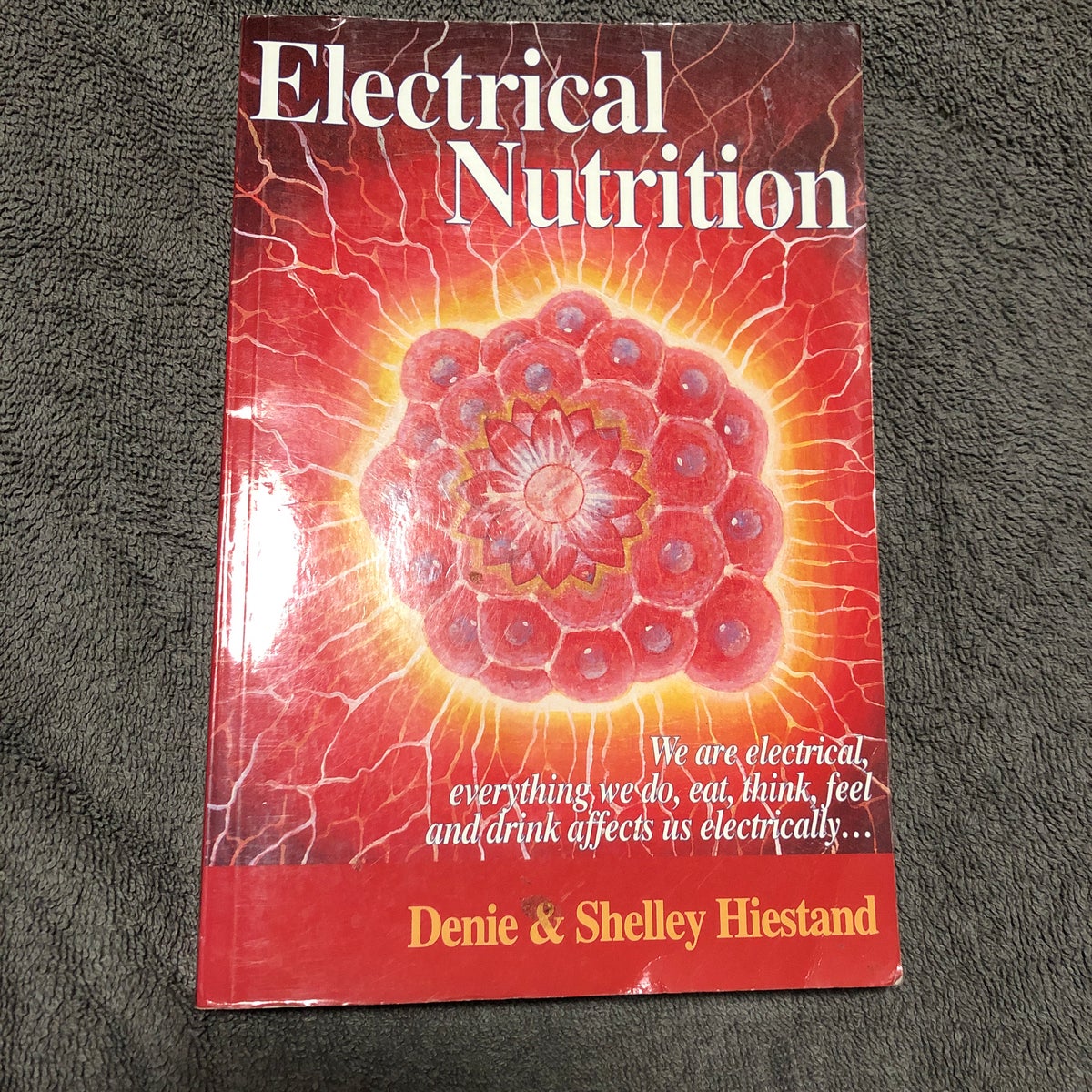 Electrical Nutrition by Denie Hiestand, Shelley Hiestand, Alexander Gray