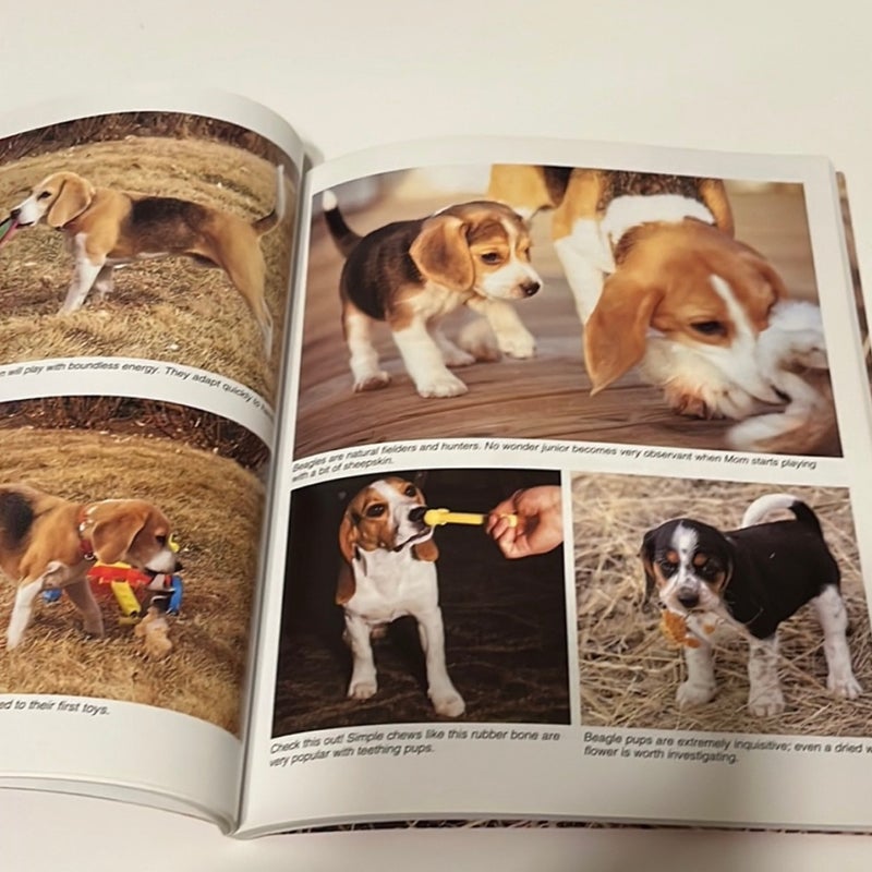 Beagles by Lucia E. Parent, Paperback | Pangobooks