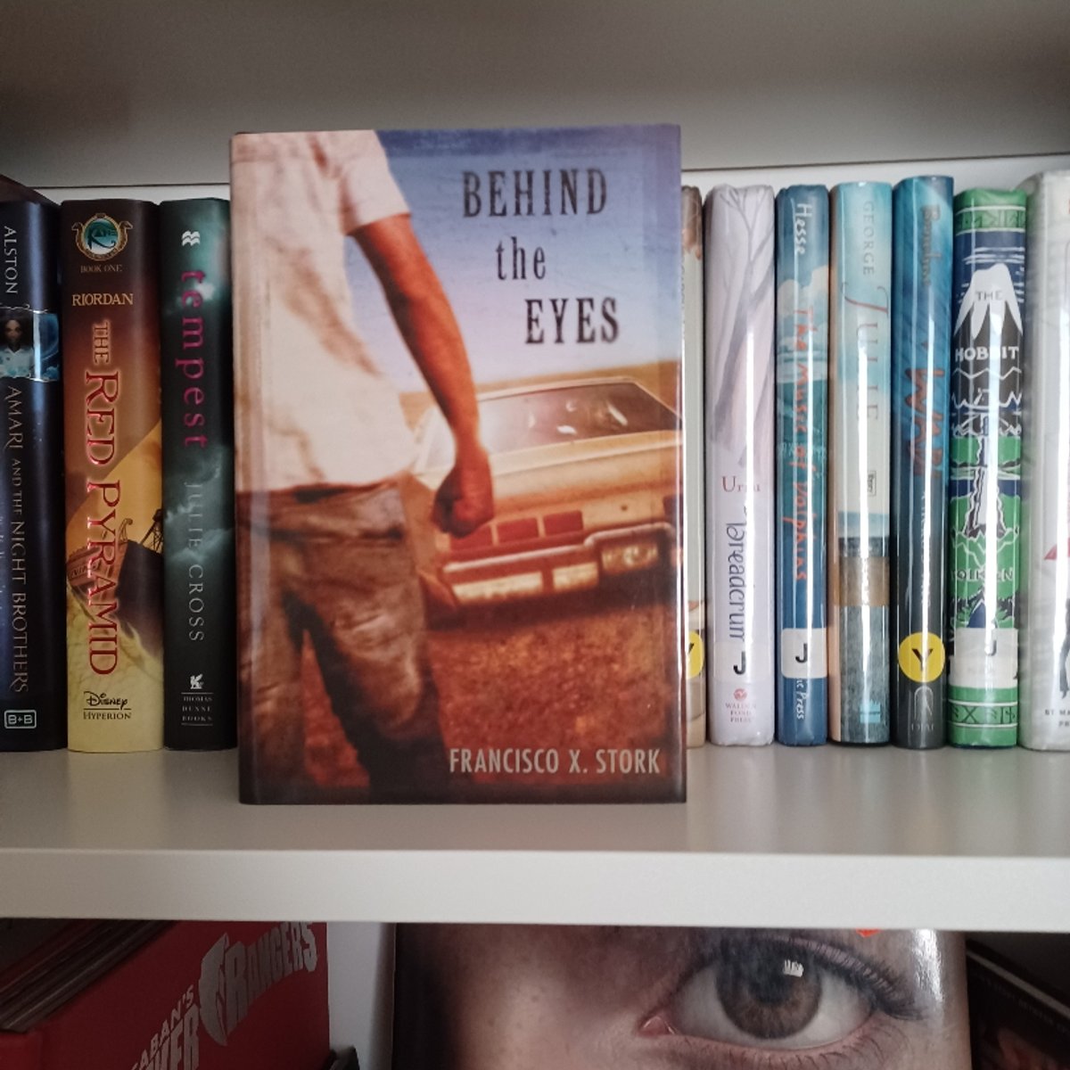 Behind the Eyes by Francisco X. Stork