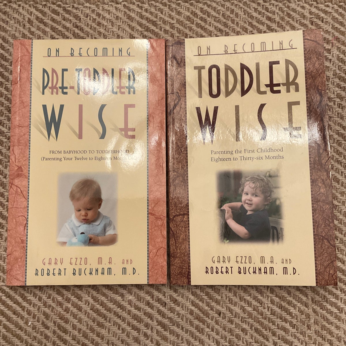 On Becoming Pretoddlerwise by Gary Ezzo, Robert Bucknam