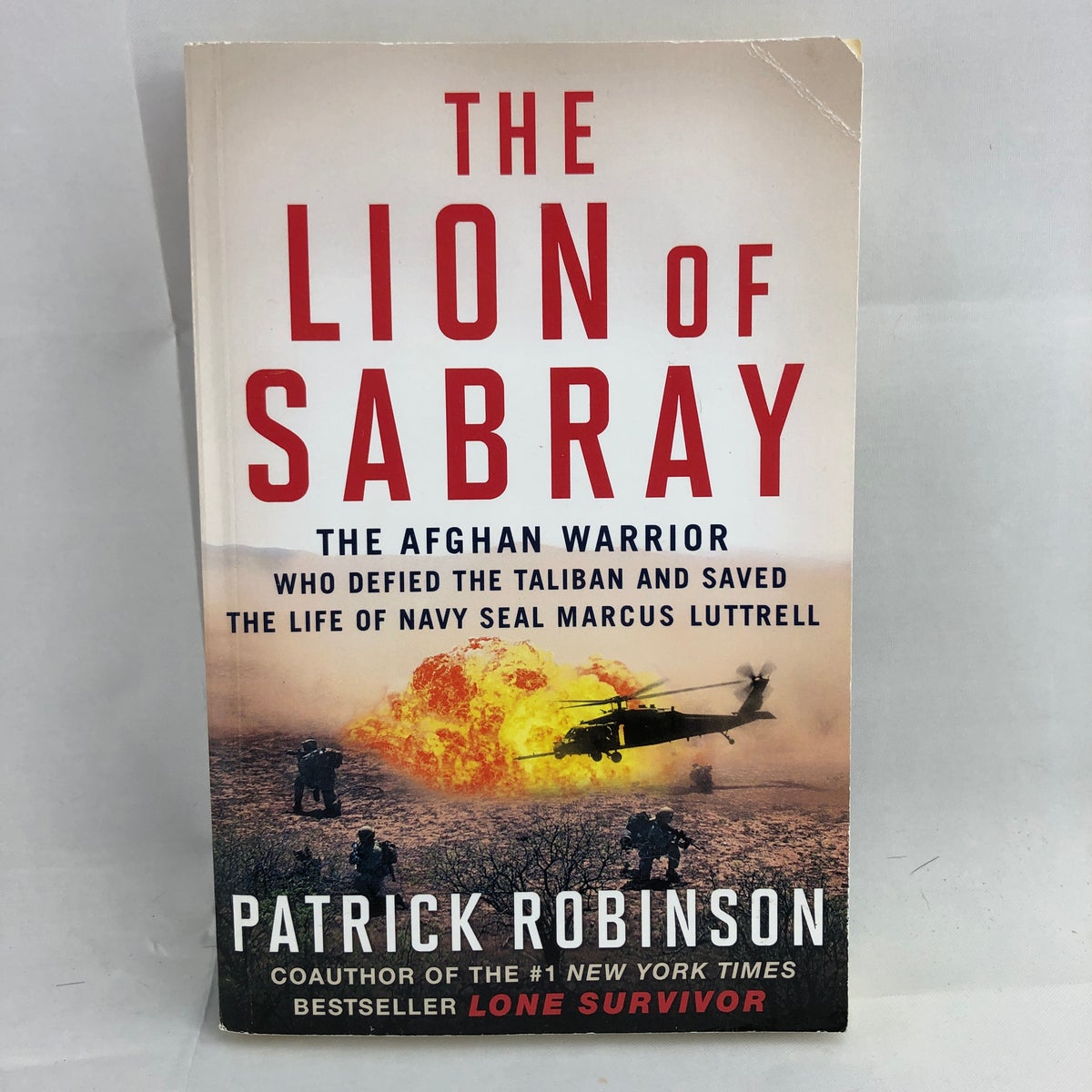 The Lion of Sabray by Patrick Robinson