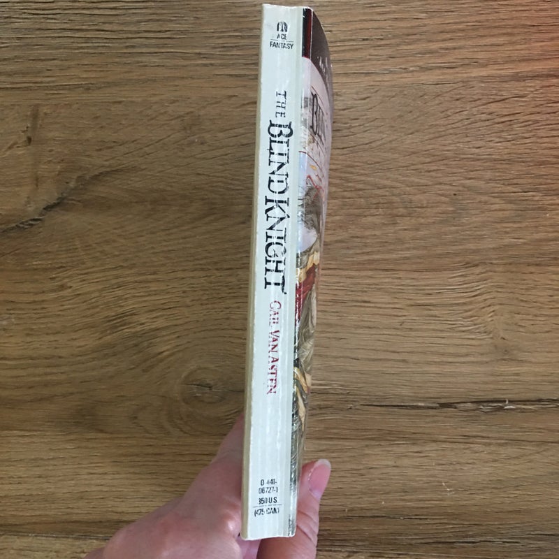 The Blind Knight by Gail Van Asten