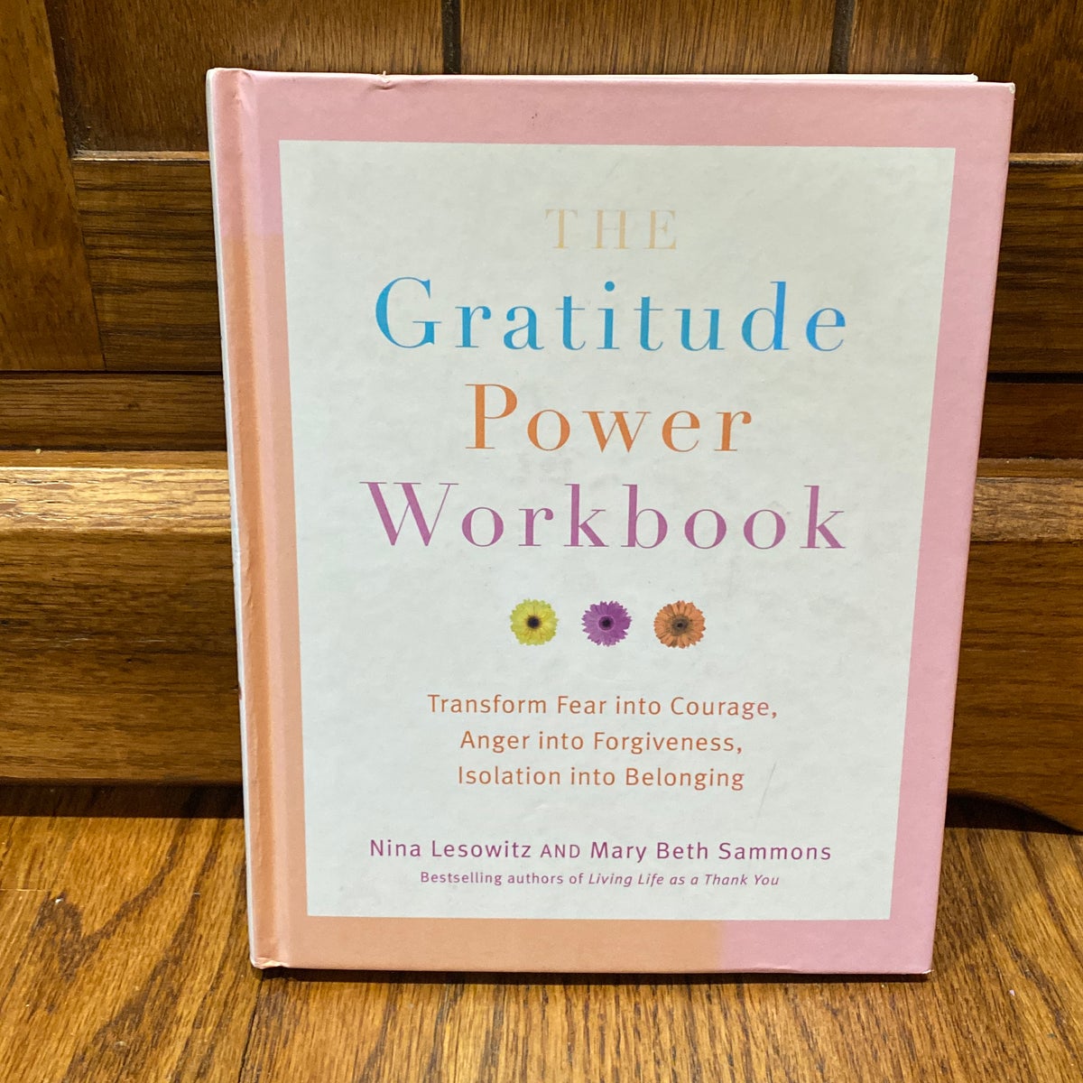 Gratitude Power Workbook by Nina Lesowitz, Hardcover | Pangobooks