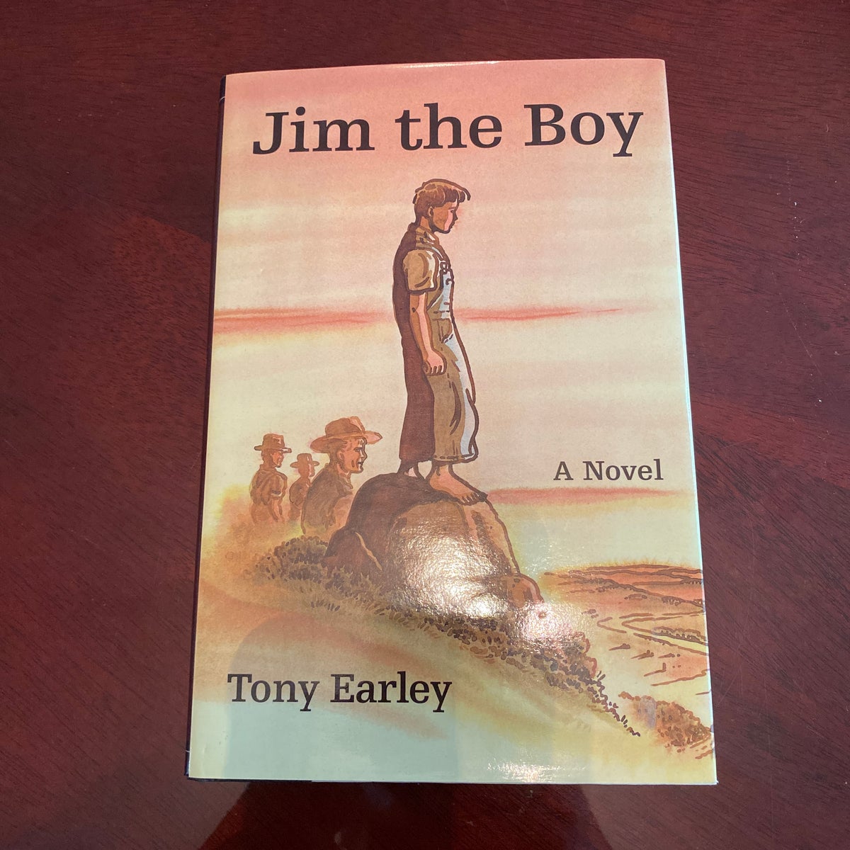 Jim the Boy by Tony Earley