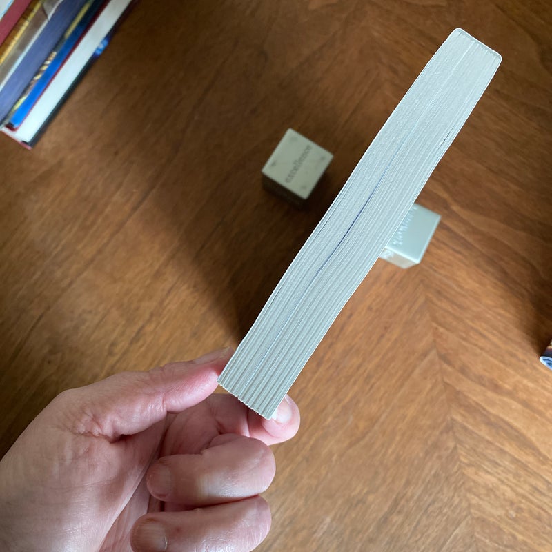 The Last Punisher by Kevin Lacz, Ethan E. Rocke, Lindsey Lacz