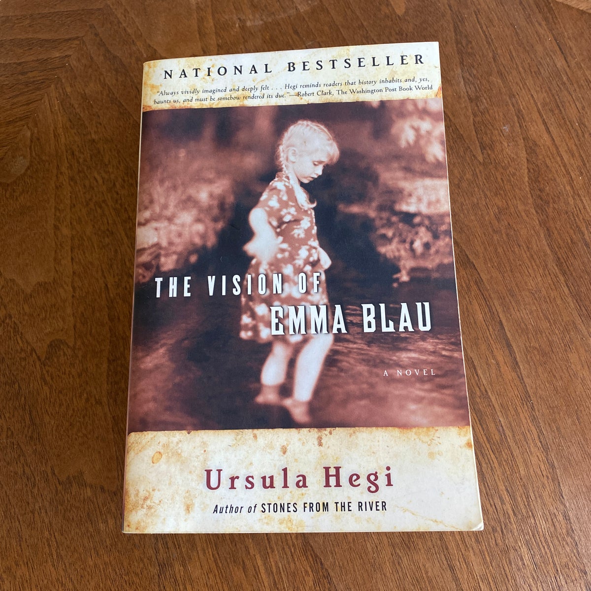 The Vision of Emma Blau by Ursula Hegi