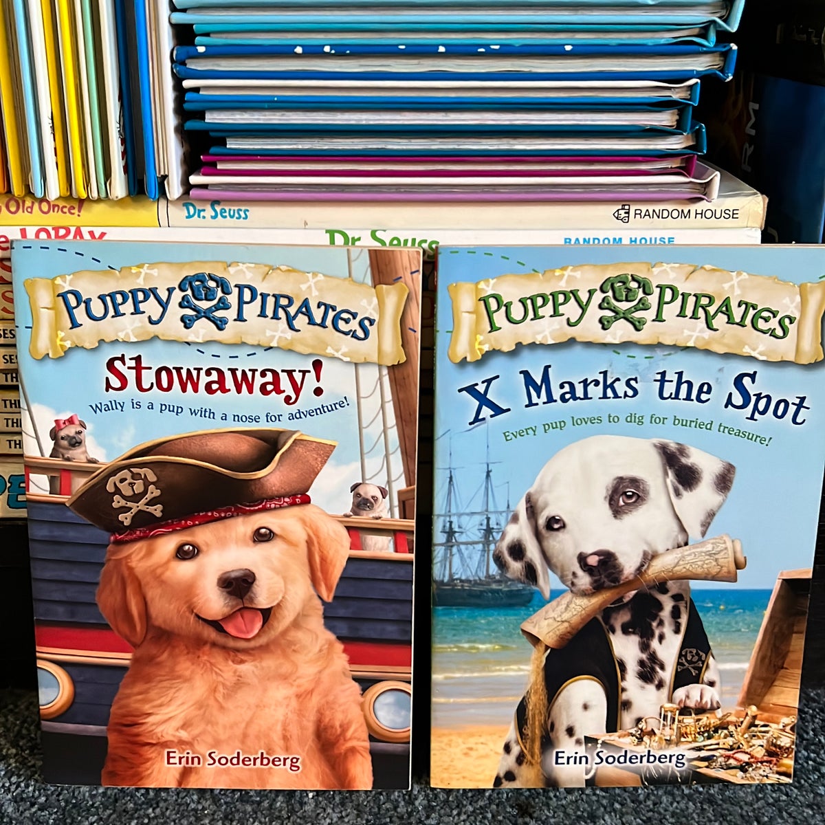 Puppy Pirates #1: Stowaway! by Erin Soderberg