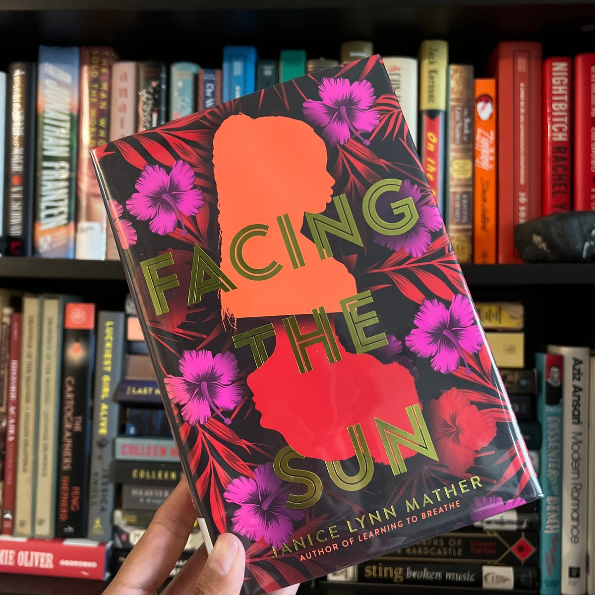 Facing the Sun by Janice Lynn Mather