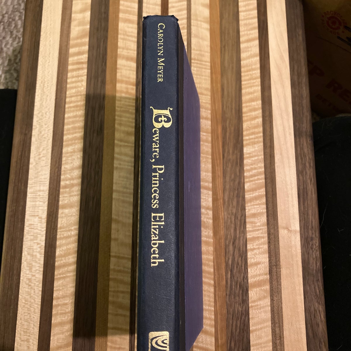 Beware, Princess Elizabeth by Carolyn Meyer, Hardcover | Pangobooks