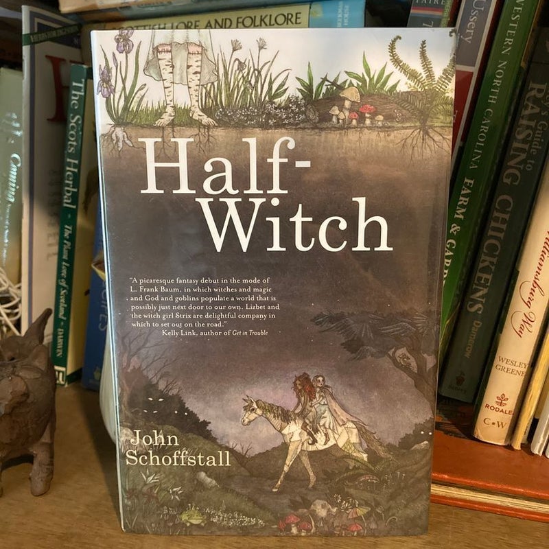 Half-Witch by John Schoffstall, Hardcover | Pangobooks