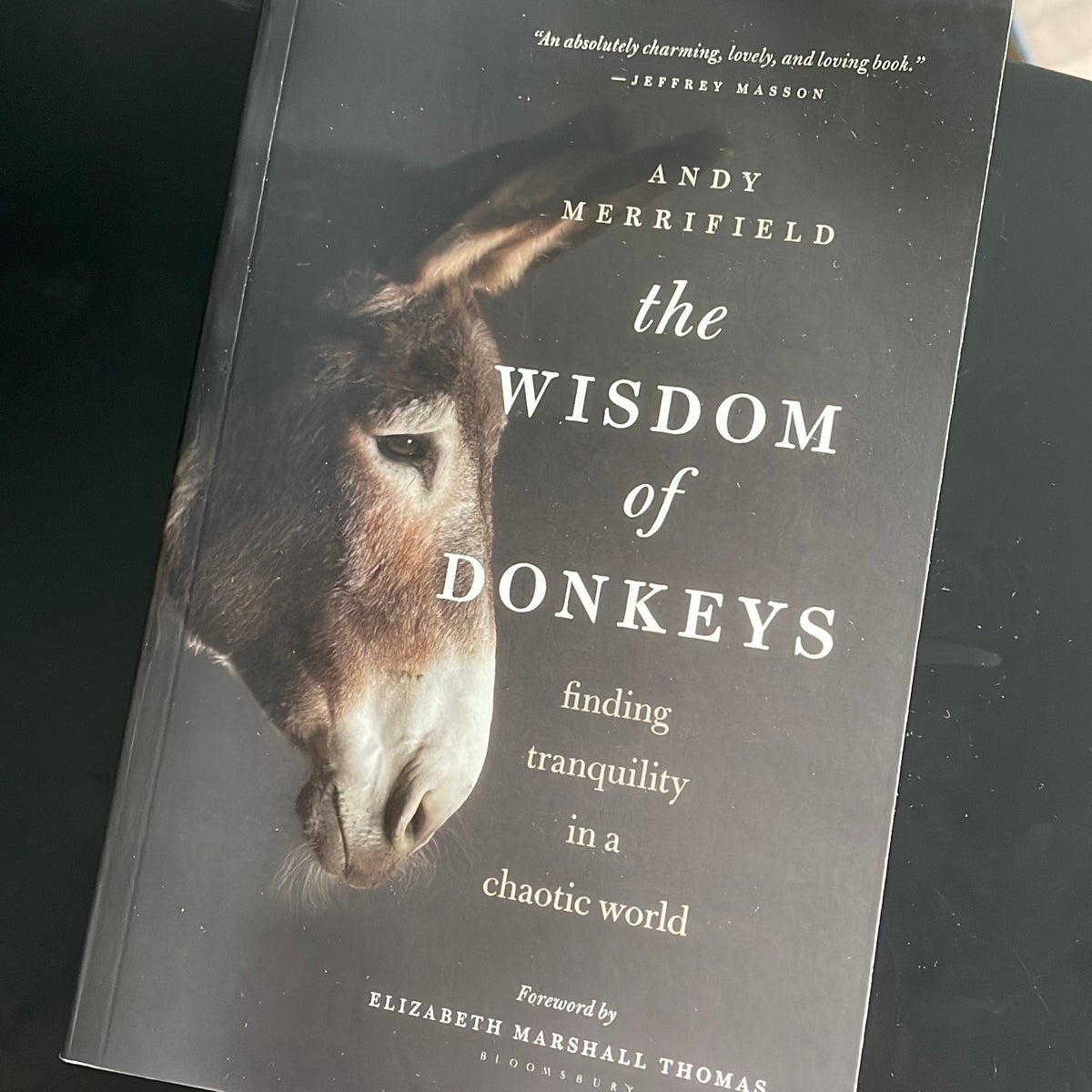 The Wisdom of Donkeys by Andy Merrifield, Elizabeth Marshall Thomas
