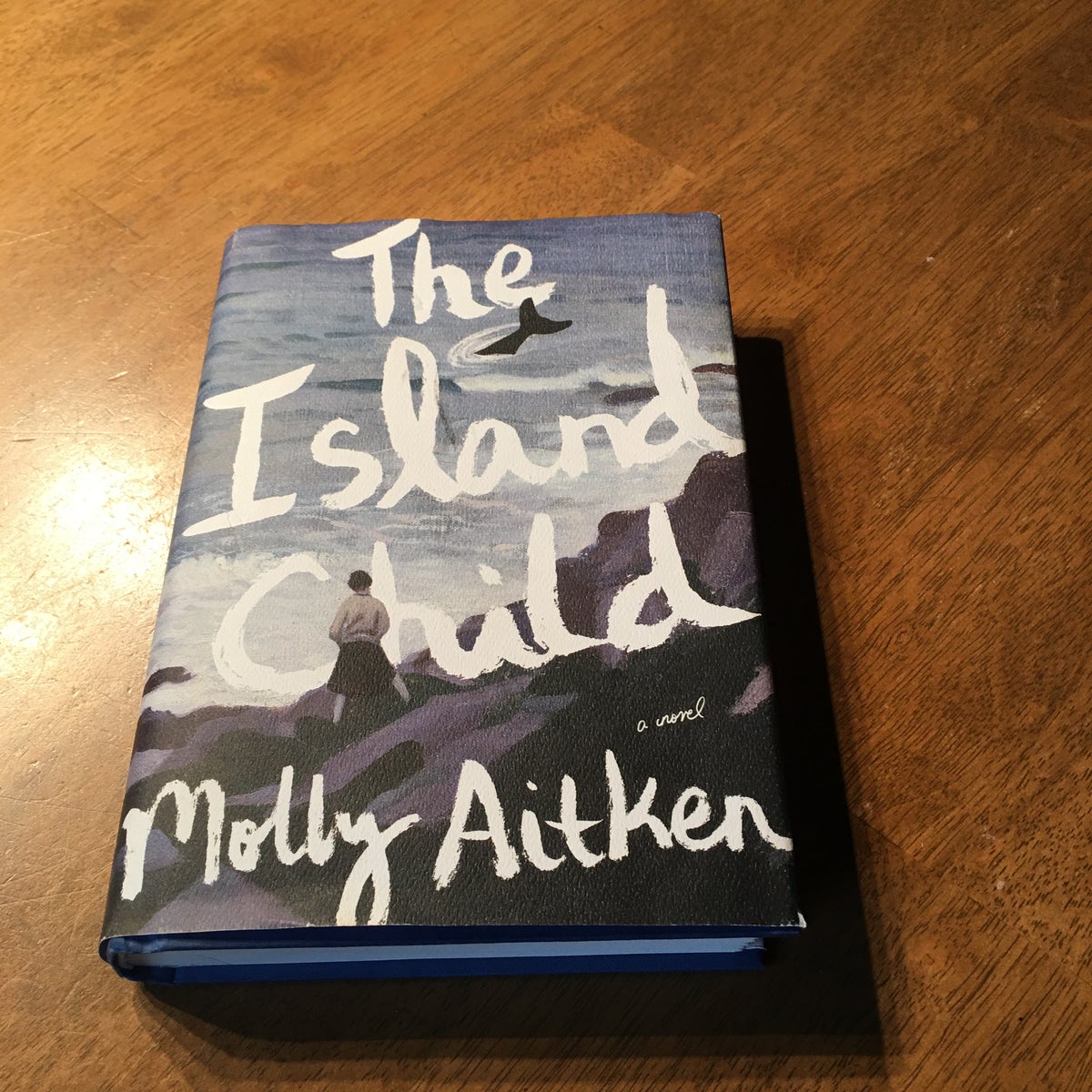 The Island Child by Molly Aitken, Hardcover | Pangobooks