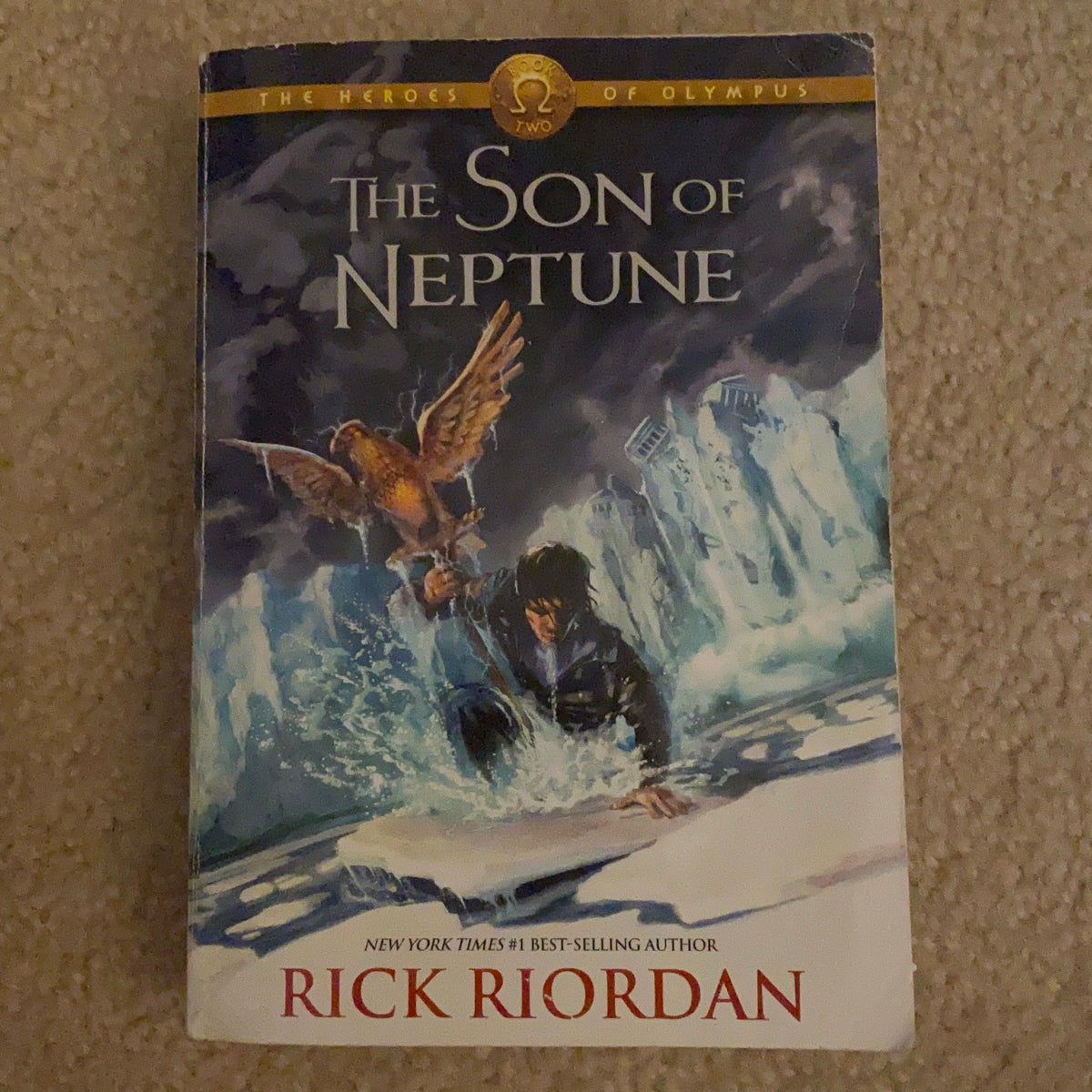 The Son of Neptune by Rick Riordan, Paperback | Pangobooks