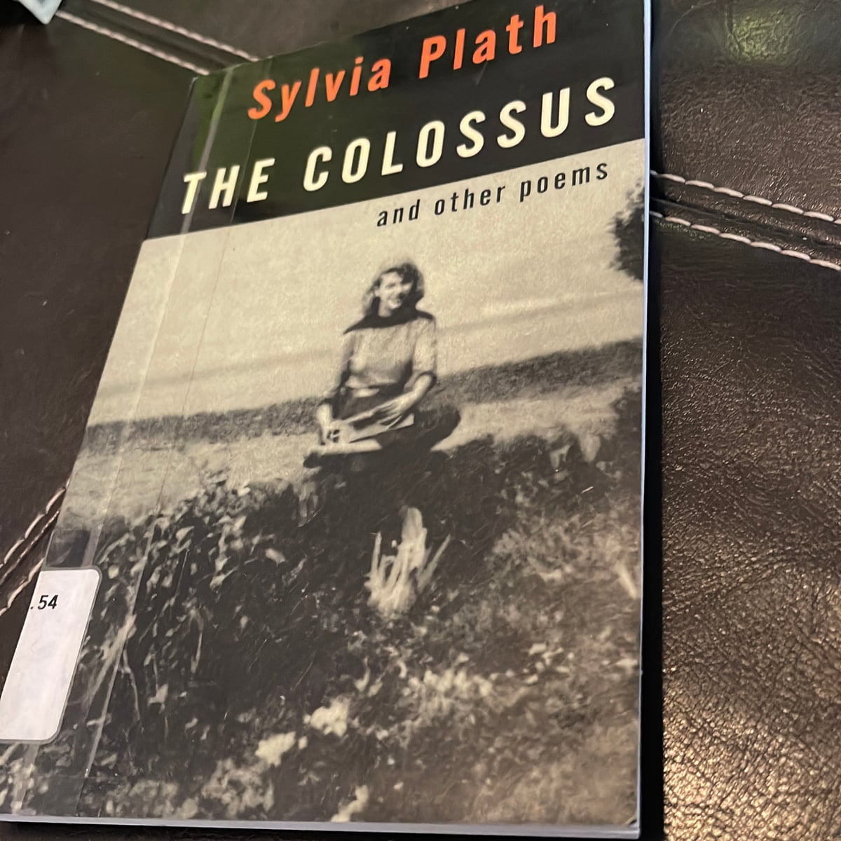 The Colossus by Sylvia Plath